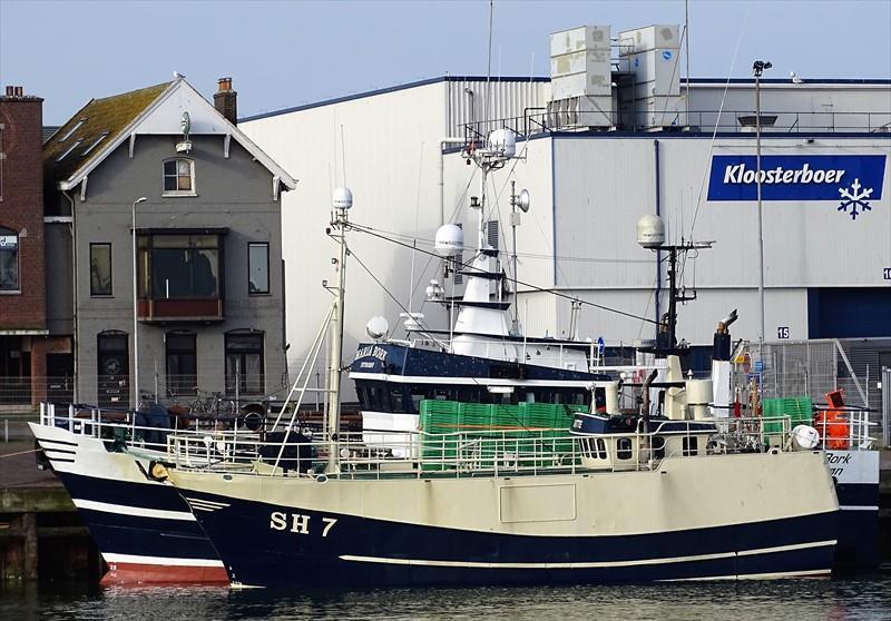 SH7 GITTE - Vesseljoin