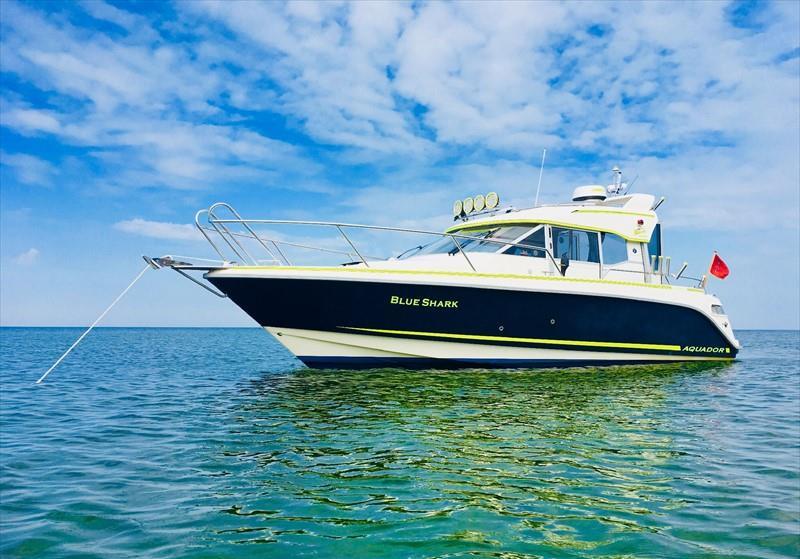 BLUE SHARK - Vesseljoin