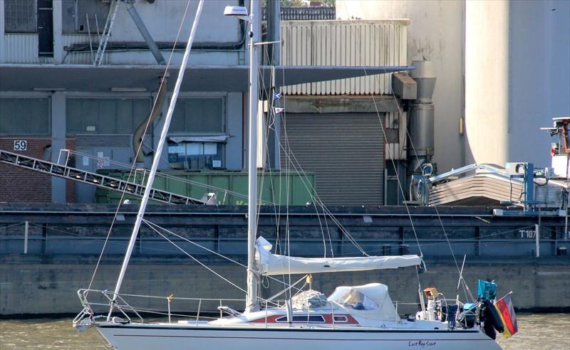 LAST BOY SCOUT - Vesseljoin