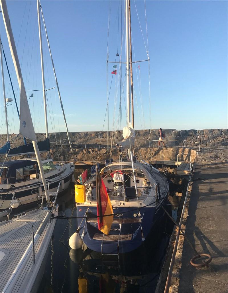 LILLE ROSE - Vesseljoin