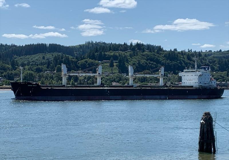 SERENE AMELIA - Vesseljoin