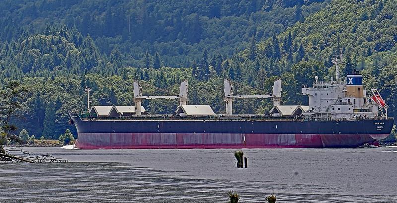 SERENE AMELIA - Vesseljoin