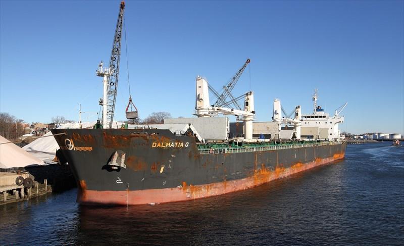 SERENE AMELIA - Vesseljoin