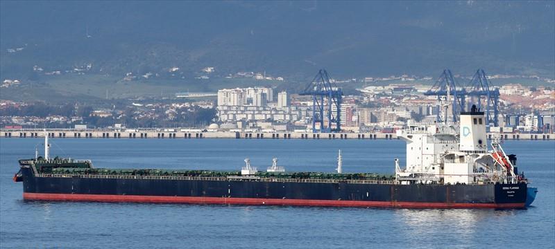 DENSA FLAMINGO - Vesseljoin