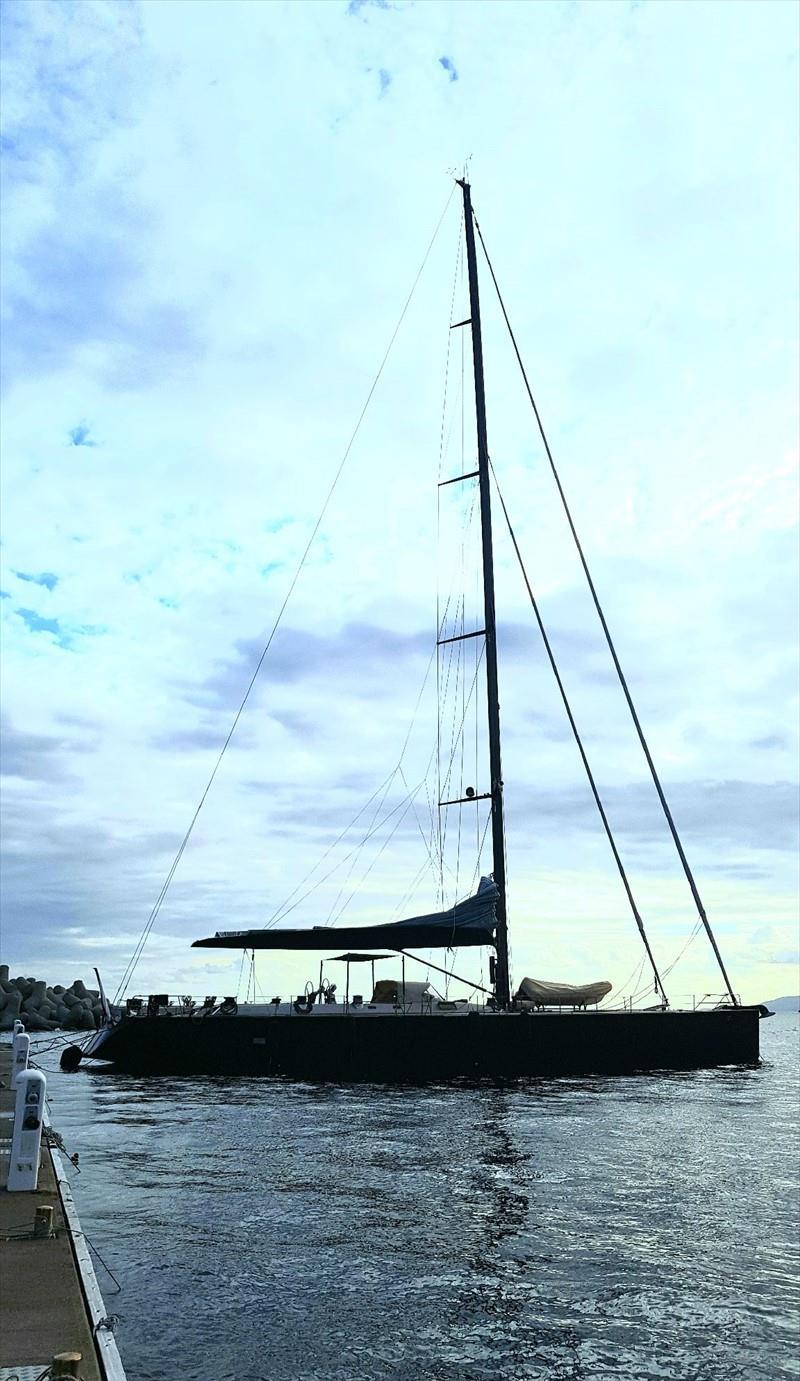 WALLY LOVE - Vesseljoin