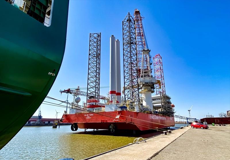 BLUE TERN - Vesseljoin