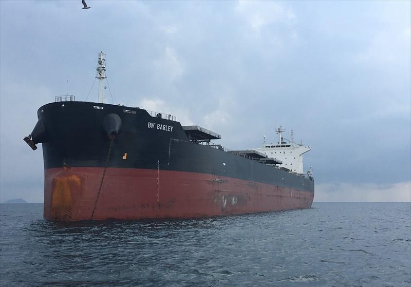 ALLIANCE - Vesseljoin