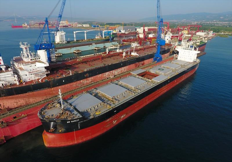 ALLIANCE - Vesseljoin