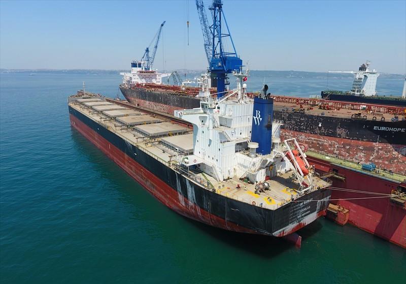 ALLIANCE - Vesseljoin