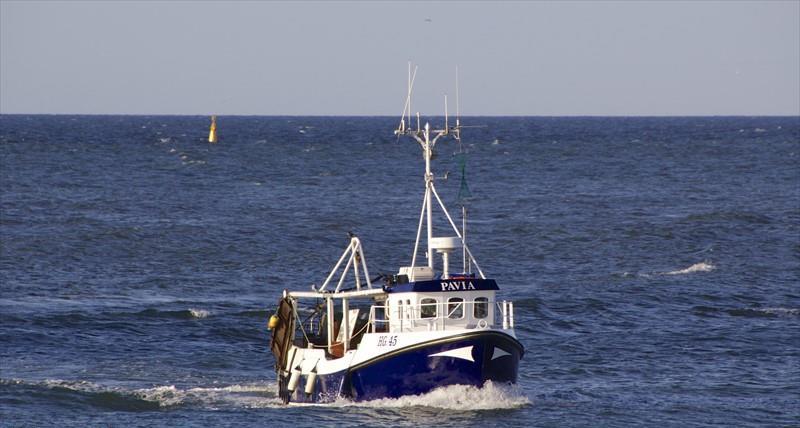 HM55 IDA SOFIA - Vesseljoin