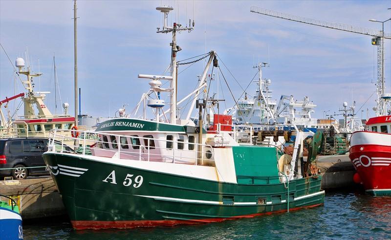 AMALIE BENJAMIN A59 - Vesseljoin