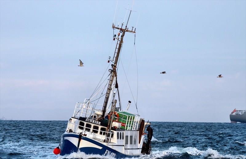 BELLA EMIL - Vesseljoin