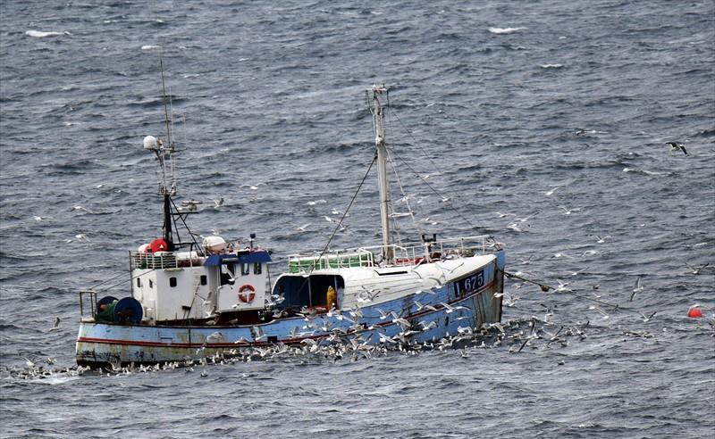 PERNILLE BRO - Vesseljoin