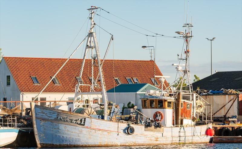 ANNA IDA KR221 - Vesseljoin