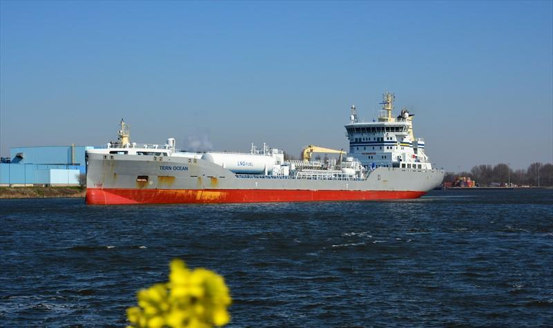 TERN OCEAN - Vesseljoin