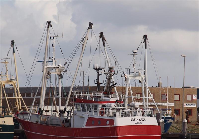 SOFIA KAUL - Vesseljoin