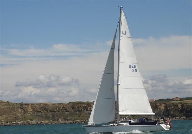 SOFIE AMALIE - Vesseljoin