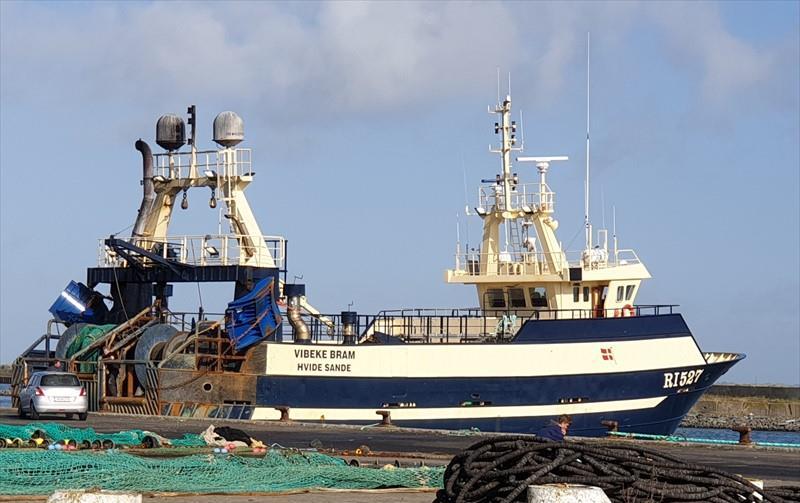 VIBEKE BRAM - Vesseljoin