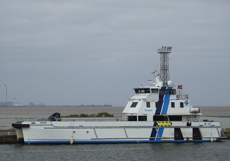 MHO GURLI - Vesseljoin