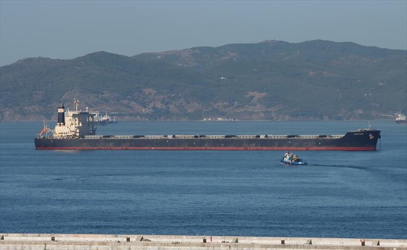 ANNE METTE BULKER - Vesseljoin