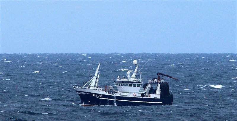 MOONLIGHT - Vesseljoin