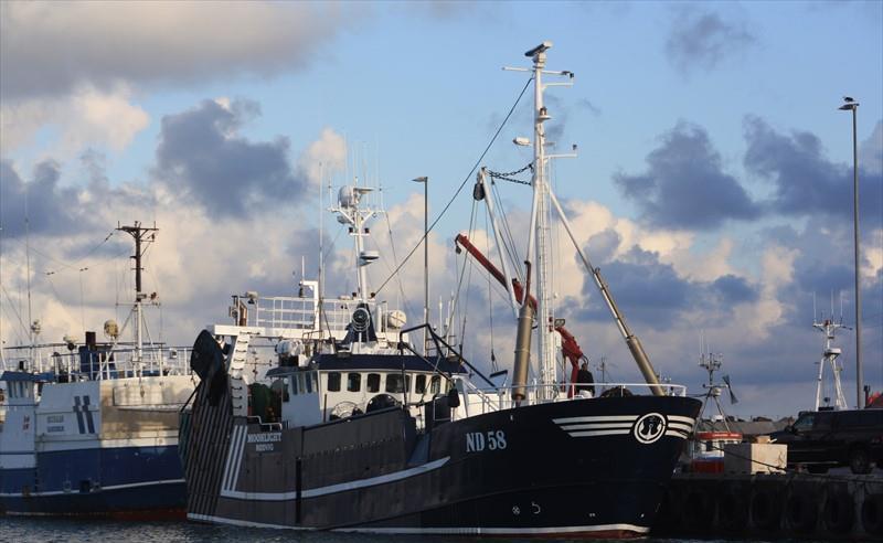 MOONLIGHT - Vesseljoin