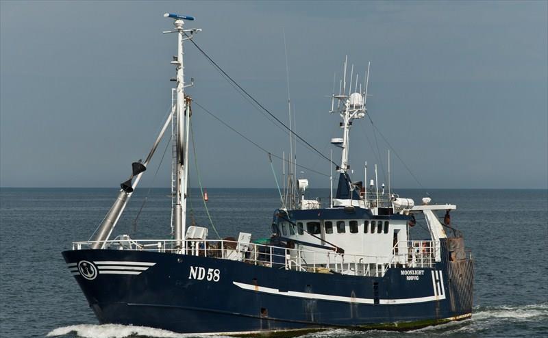 MOONLIGHT - Vesseljoin