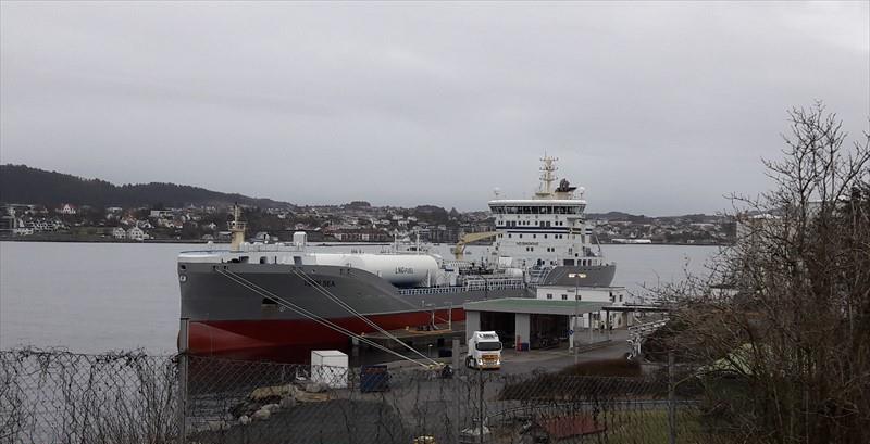 TERN SEA - Vesseljoin