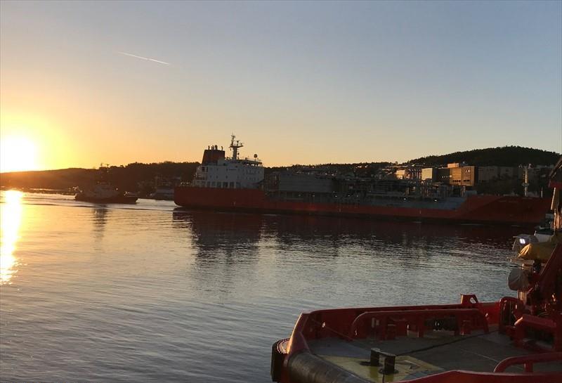 HAPPY AVOCET - Vesseljoin