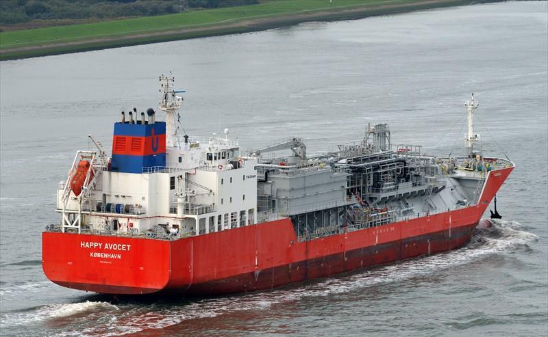 HAPPY AVOCET - Vesseljoin