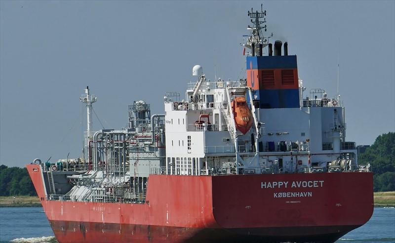 HAPPY AVOCET - Vesseljoin