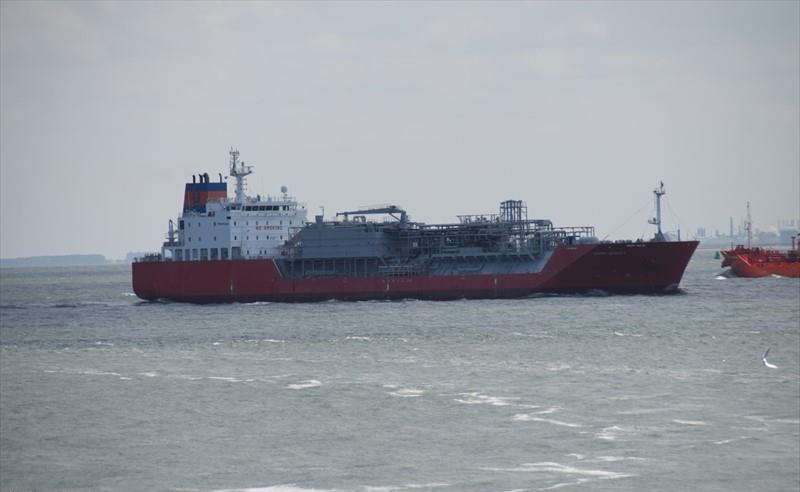 HAPPY AVOCET - Vesseljoin