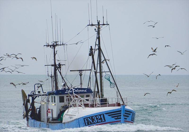 FN 321 LINE DALGAARD - Vesseljoin