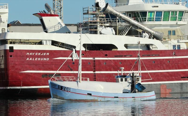 METTE PIA - Vesseljoin