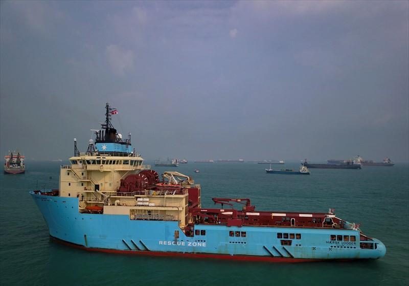 MAERSK LOGGER - Vesseljoin