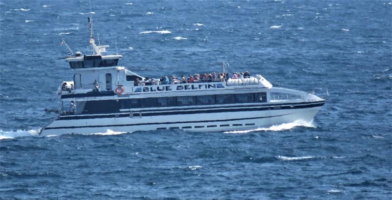 BLUE DELFIN - Vesseljoin