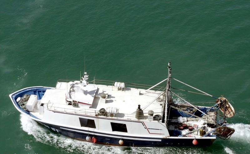 CABALLO RAYO SEGUNDO - Vesseljoin