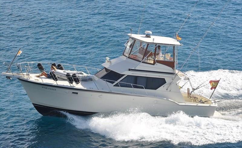 AURA MARINA - Vesseljoin