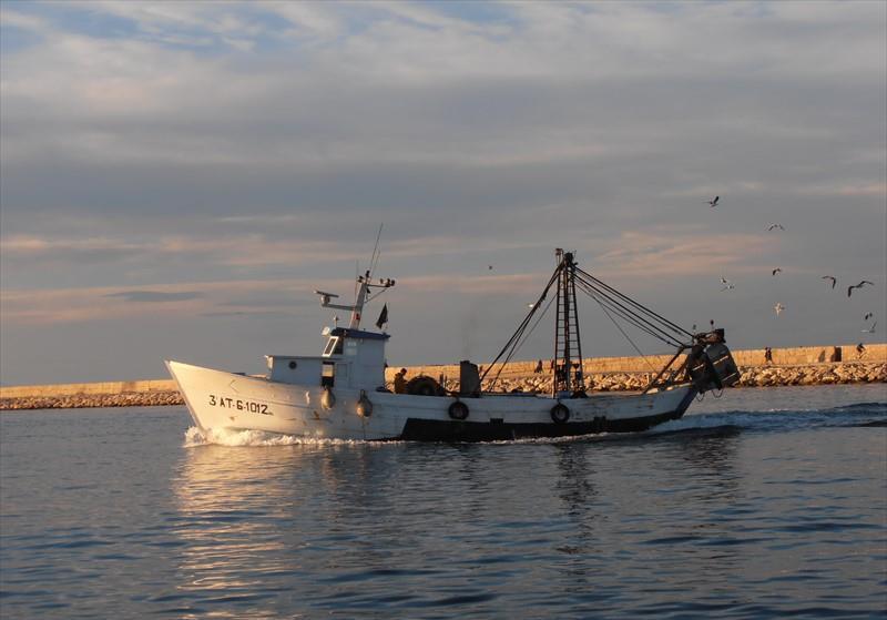 NUEVO MIGUEL ISABEL - Vesseljoin