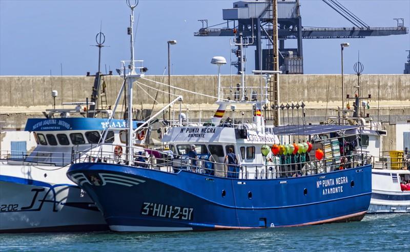 NUEVO PUNTA NEGRA - Vesseljoin