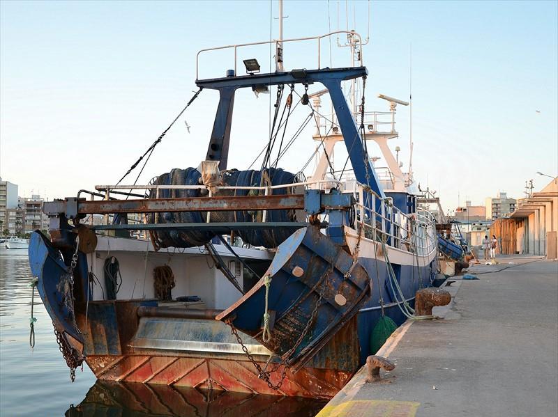 ESTELA NOVA - Vesseljoin