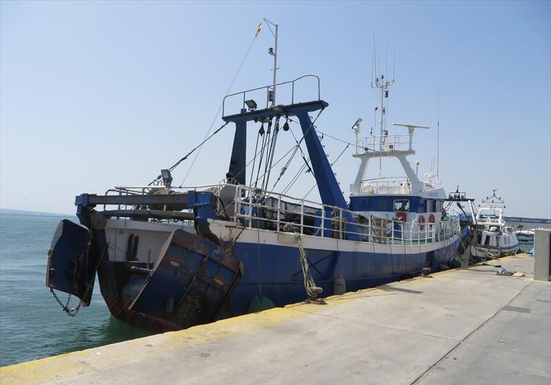 ESTELA NOVA - Vesseljoin