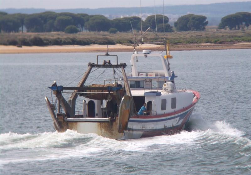 HERMANOS NETO - Vesseljoin