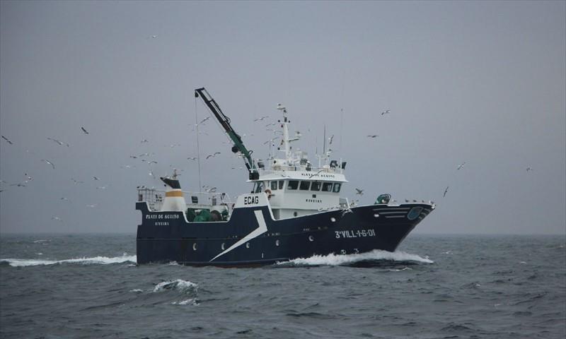 PLAYA DE AGUINO - Vesseljoin