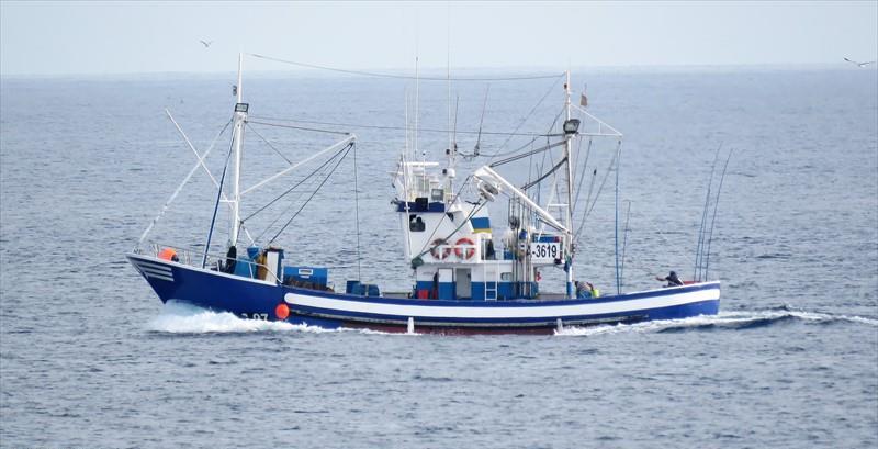 NUEVO MOBY DICK - Vesseljoin