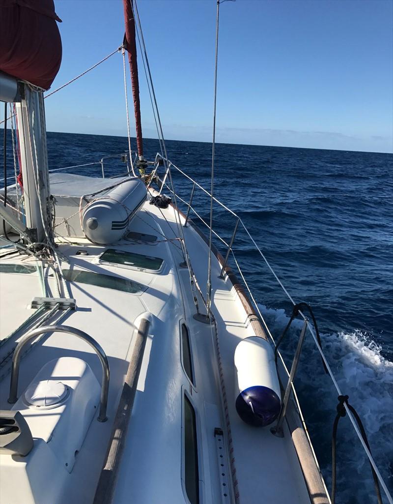 PATO LUCAS - Vesseljoin