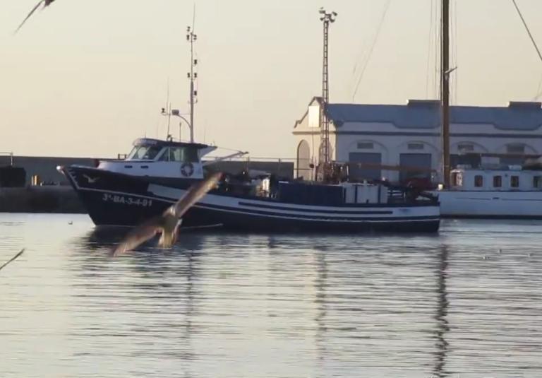 LA NUEVA FURIA - Vesseljoin