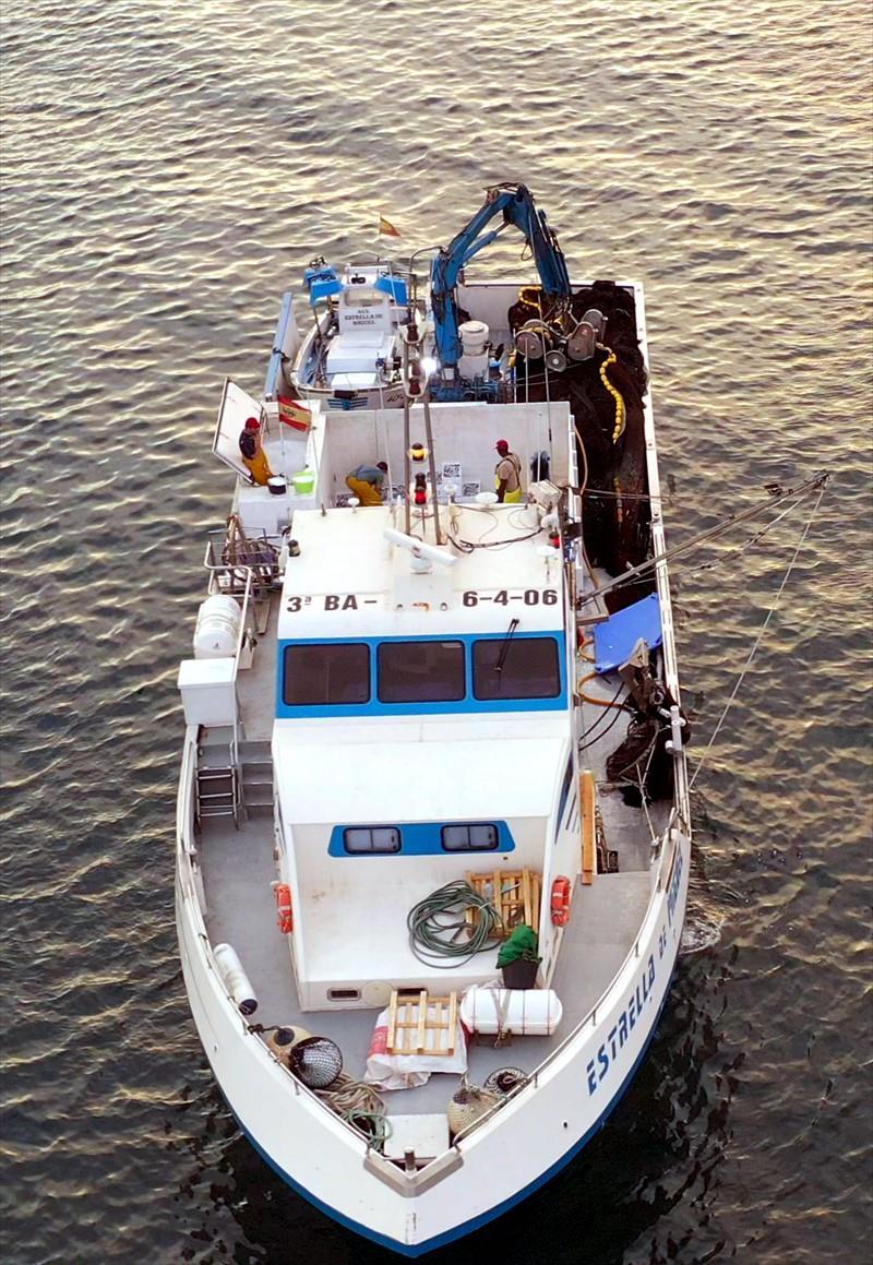 ESTRELLA DE MIGUEL - Vesseljoin