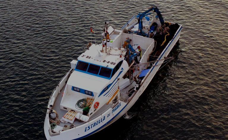 ESTRELLA DE MIGUEL - Vesseljoin