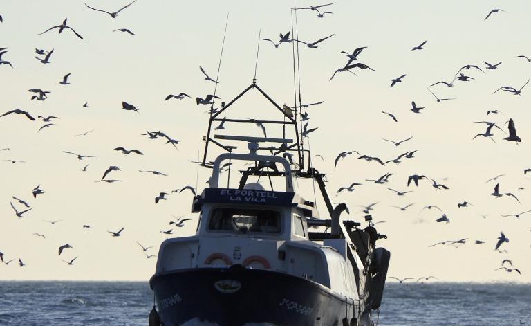 EL PORTELL - Vesseljoin